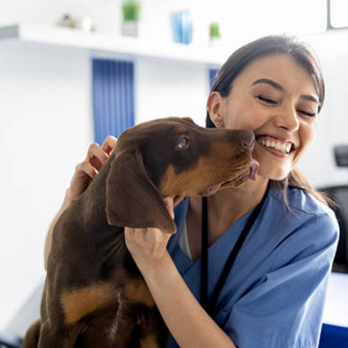 8 reasons your dog licks you constantly, according to canine experts