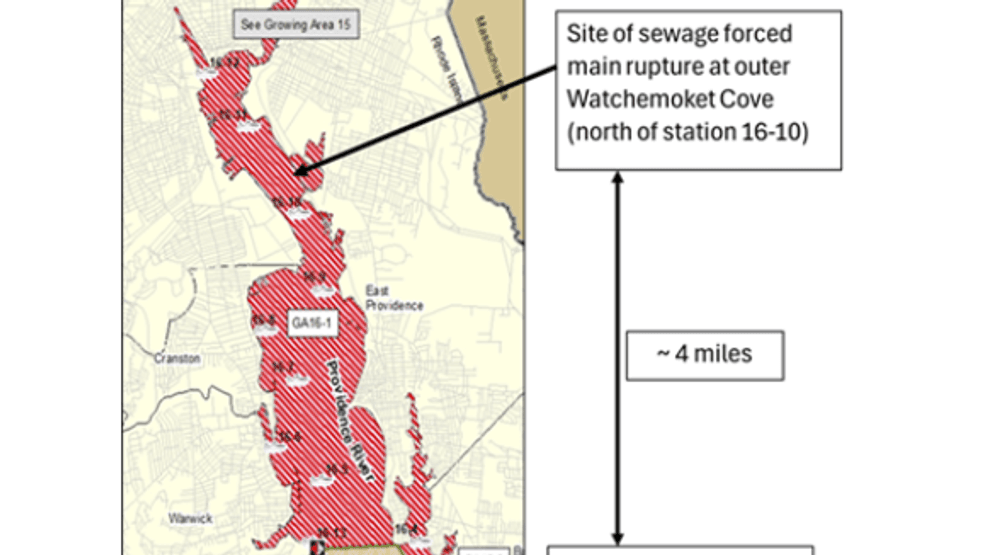 Providence River shellfishing to reopen after sewage discharge