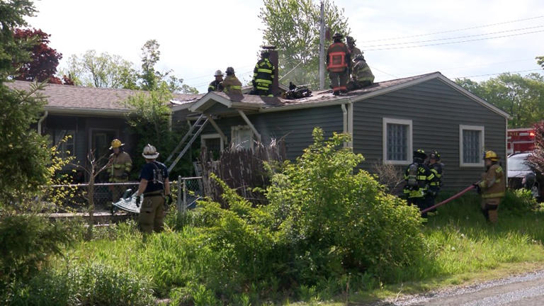 Two dogs injured in Friday morning house fire
