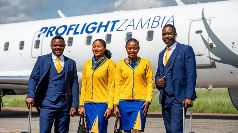 Safari made easy: new route simplifies travel between Victoria Falls ...