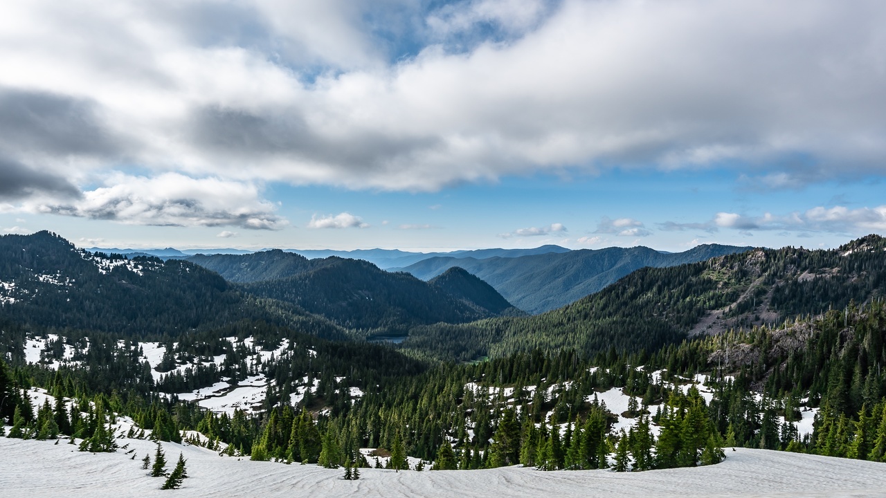 Olympic National Park is three worlds in one that most Americans have ...