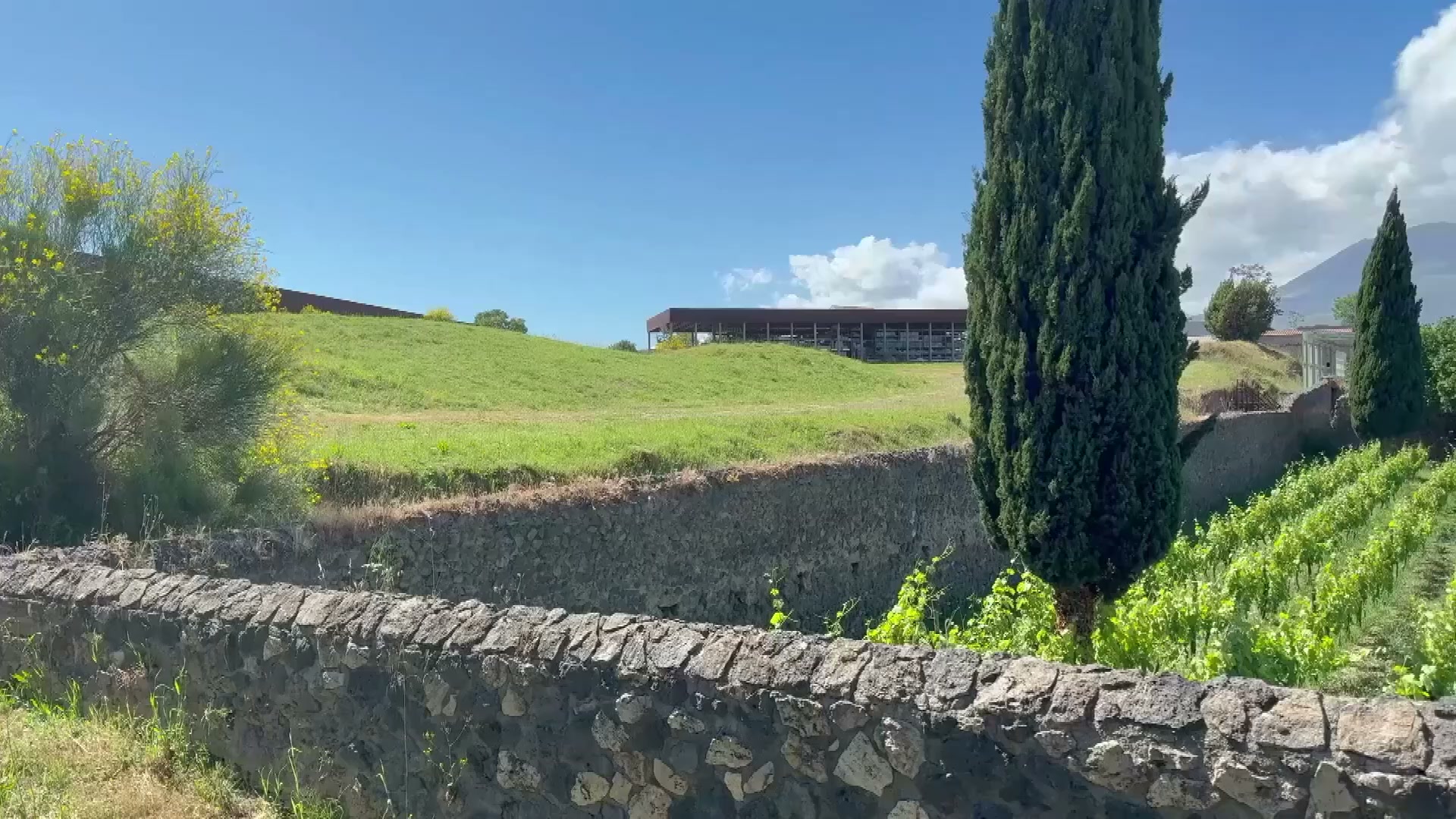 Extraordinary discovery in Pompeii: A doctor identified thanks to his ...