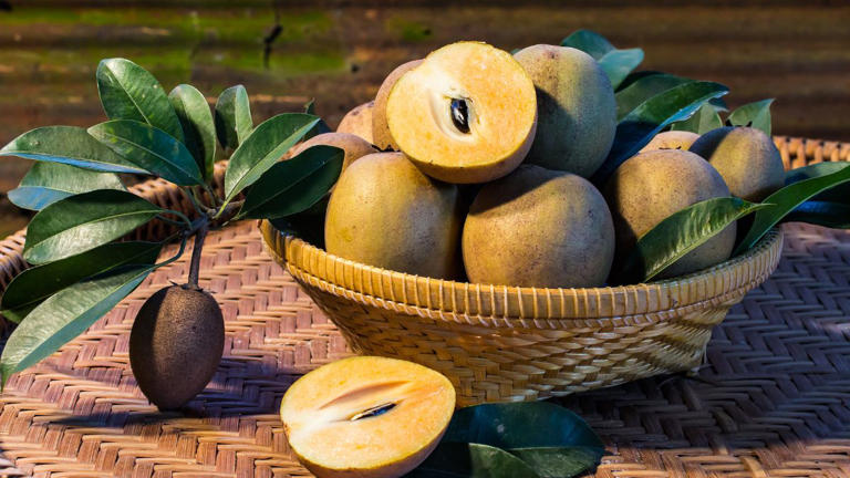 What is chiku called in English?