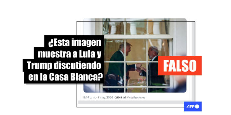 Imagen de Lula y Trump discutiendo en la Casa Blanca fue generada con ...