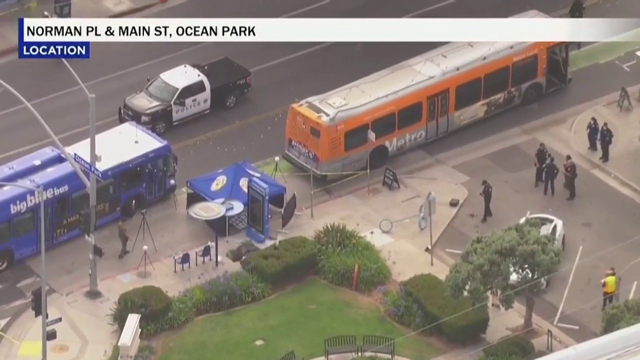 Pedestrian killed in bus crash
