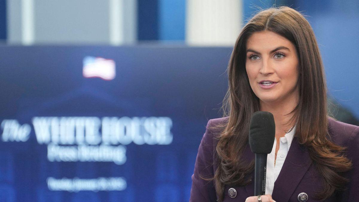 Kaitlan Collins ridicules Trump loyalist with his own words on gas prices
