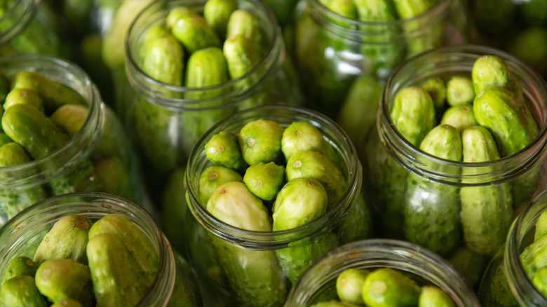 Costco just stocked a fan-favorite pickle brand that's giving Grillo's ...