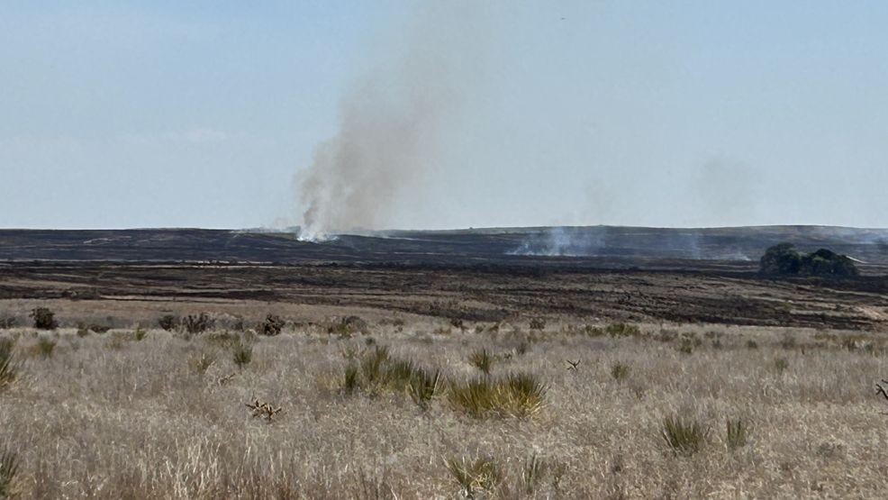Winds drive New Mexico's Line Fire rapidly across rugged terrain near ...