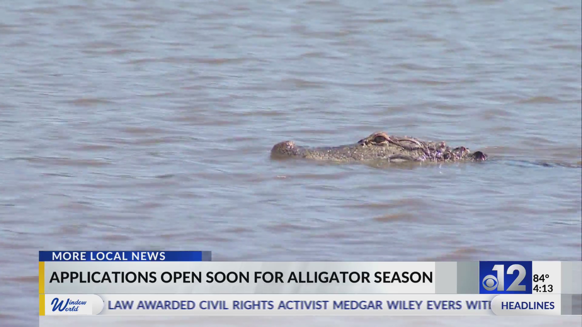 Applications open soon for 2026 public waters alligator season in ...