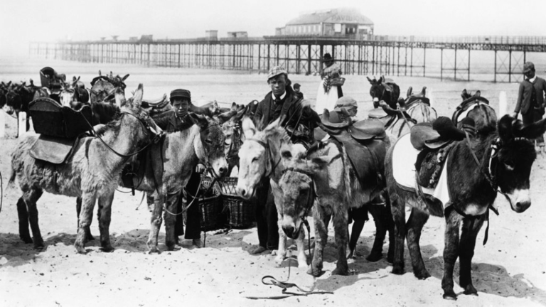Is the tradition of donkeys at the beach riding off into the sunset?