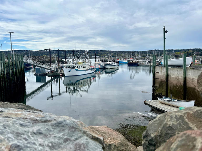 Grand Manan company doubles down on lobster with island’s 1st ...