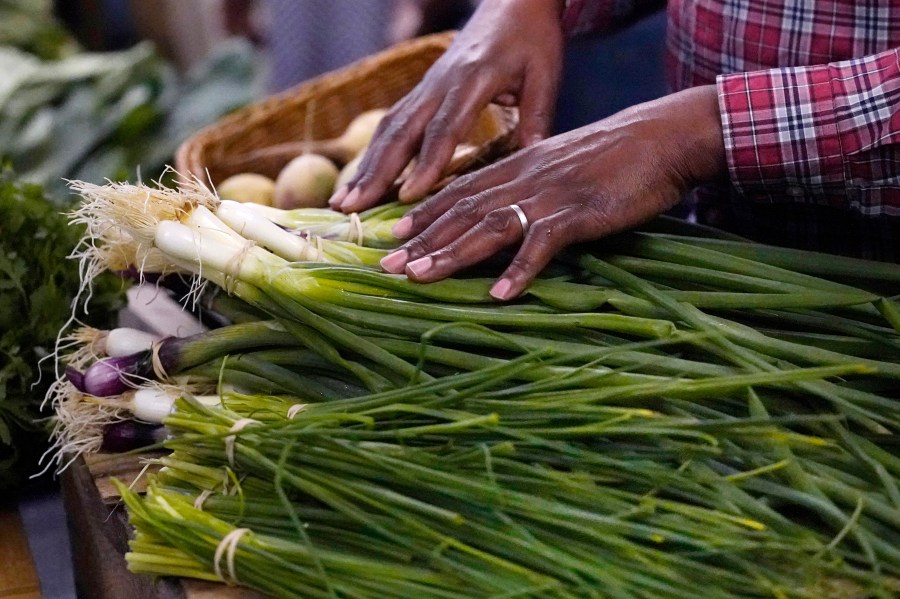 Muskegon Farmers Market gets $481,000 grant