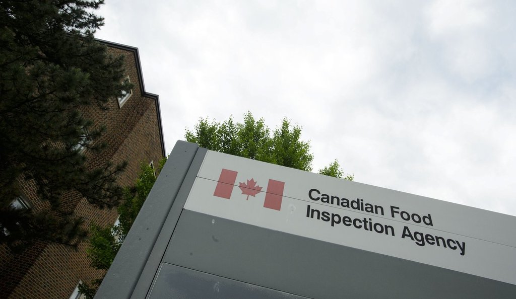 CFIA warns of US outbreaks of pseudorabies in commercial swine
