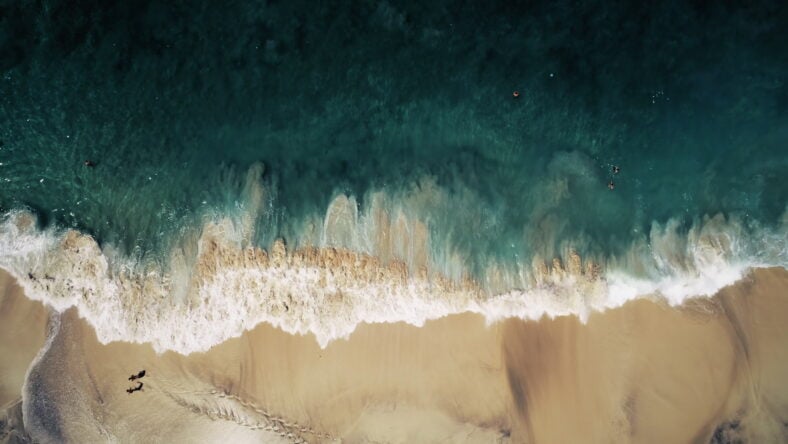 A deep-sea expedition near the Hawaiian Islands revealed a yellow brick ...