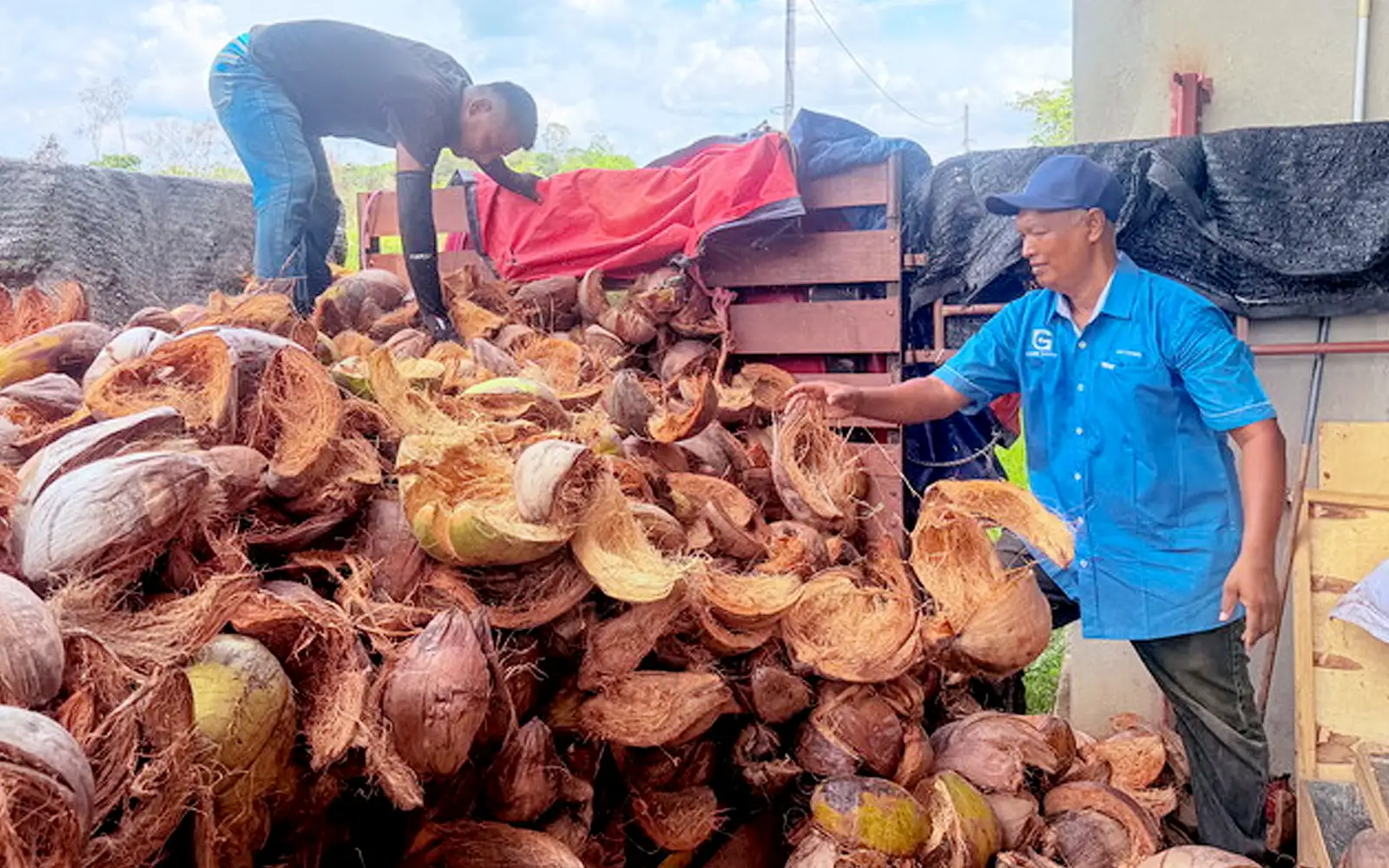 From waste to gardening gold: Wan Zamri’s husk-y venture