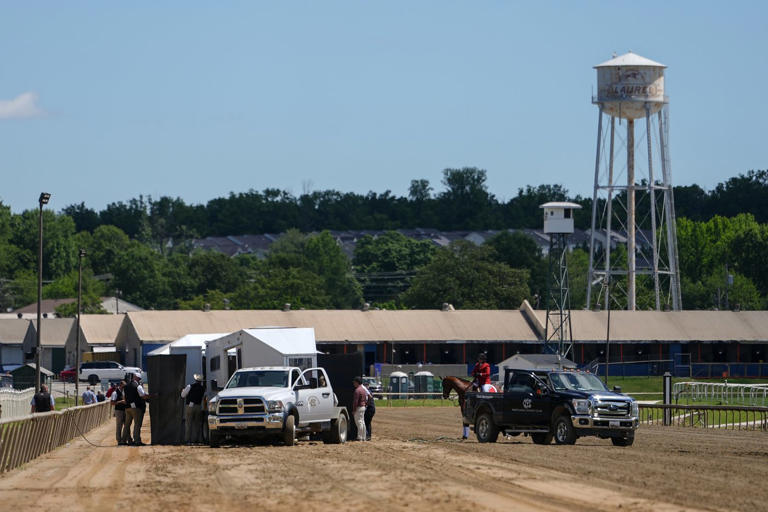Colt making his racing debut dies after a race at Laurel, the day ...