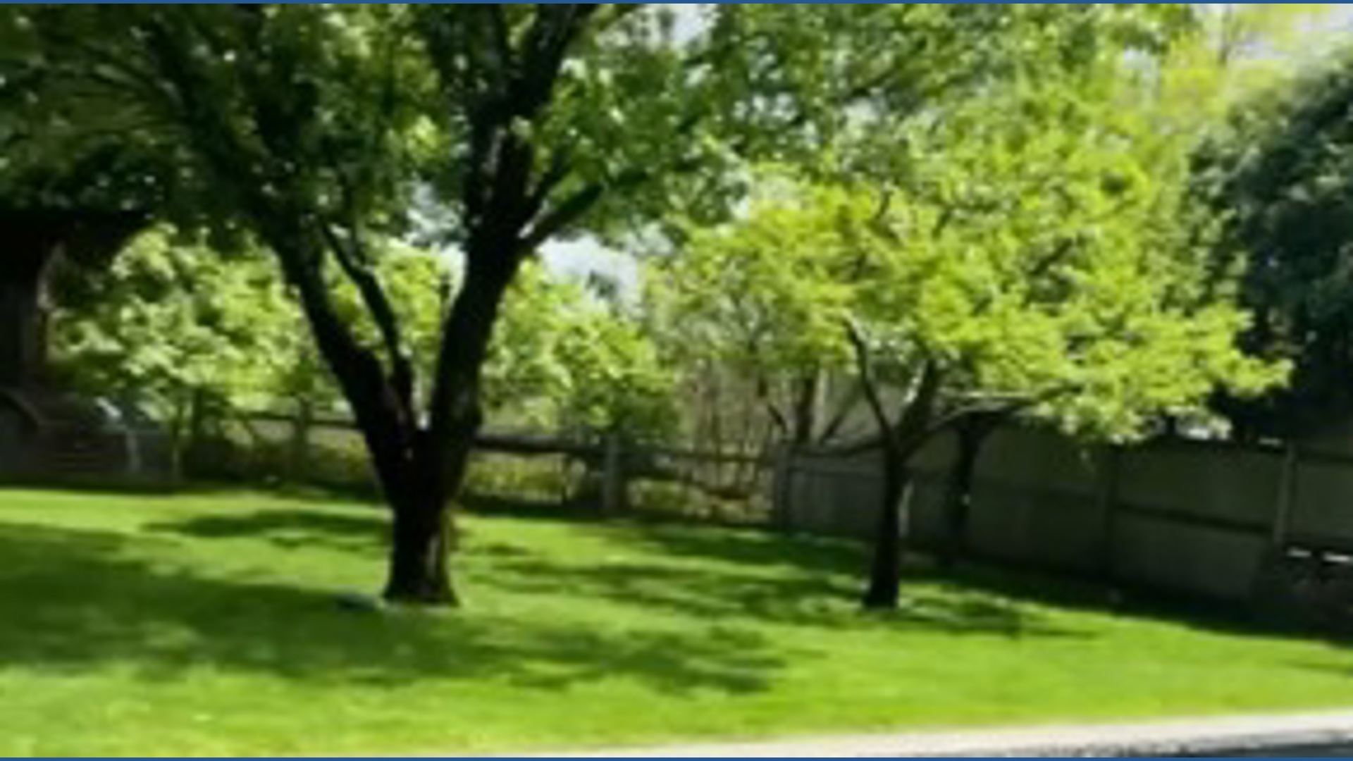 Pool maintenance companies now busy this time of year