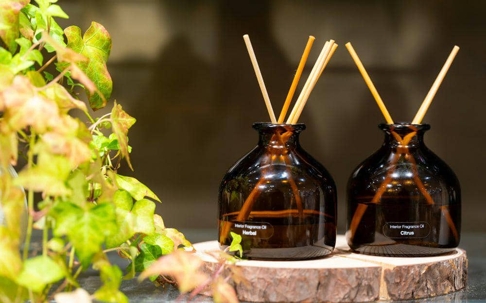 Cara memilih reed diffuser ala hotel bintang lima, rumah jadi mewah dan ...