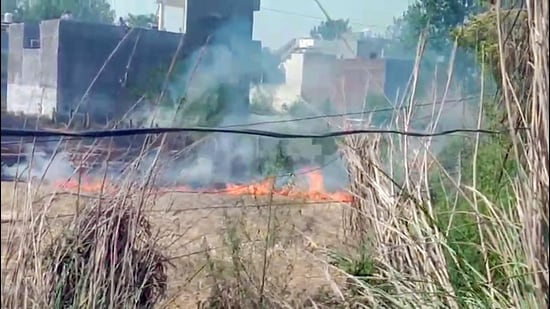Punjab farm fire count crosses 9k mark