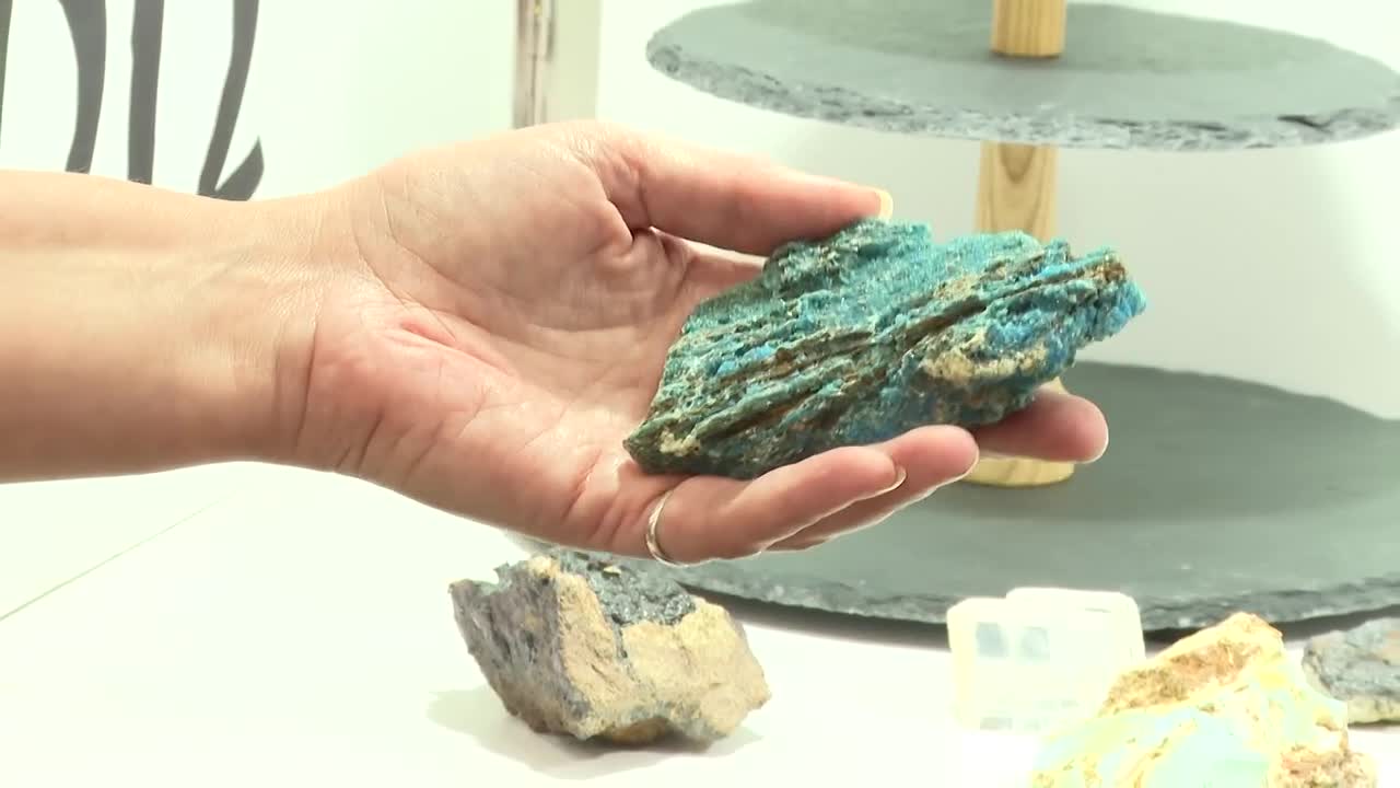 Butte Mineral & Gem Show