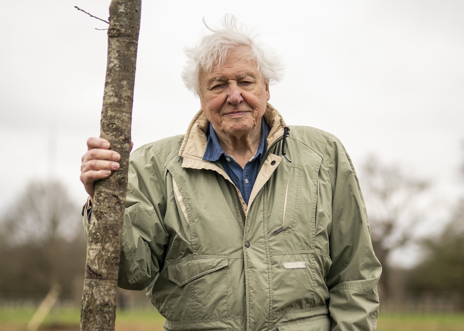 RHS Chelsea Flower Show celebrates Sir David Attenborough’s 100 years ...