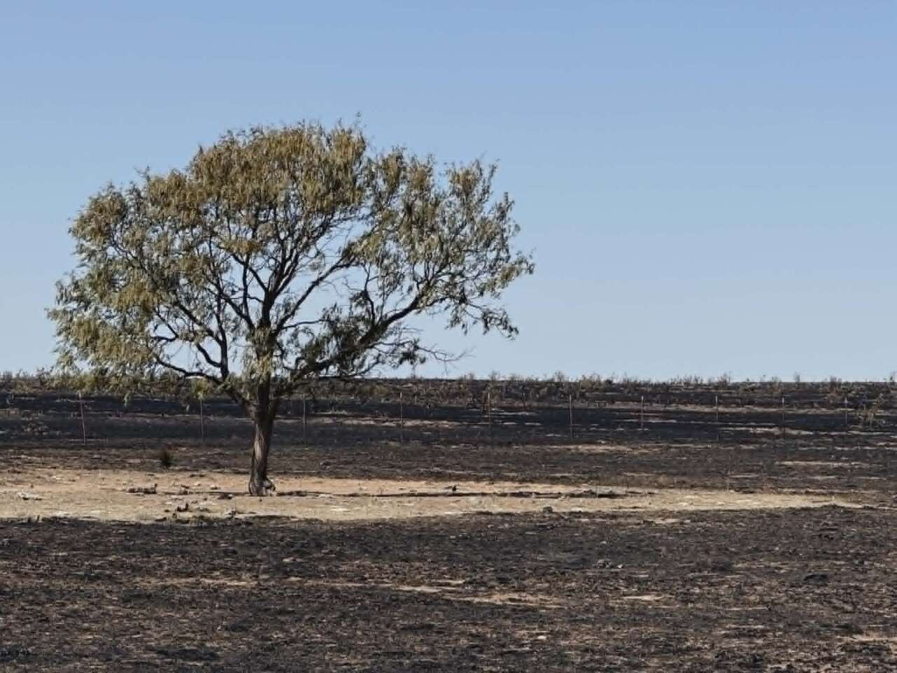 Trestle bridge in canyon burns down