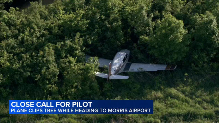 Small plane makes emergency landing in Morris, appears to crash into trees