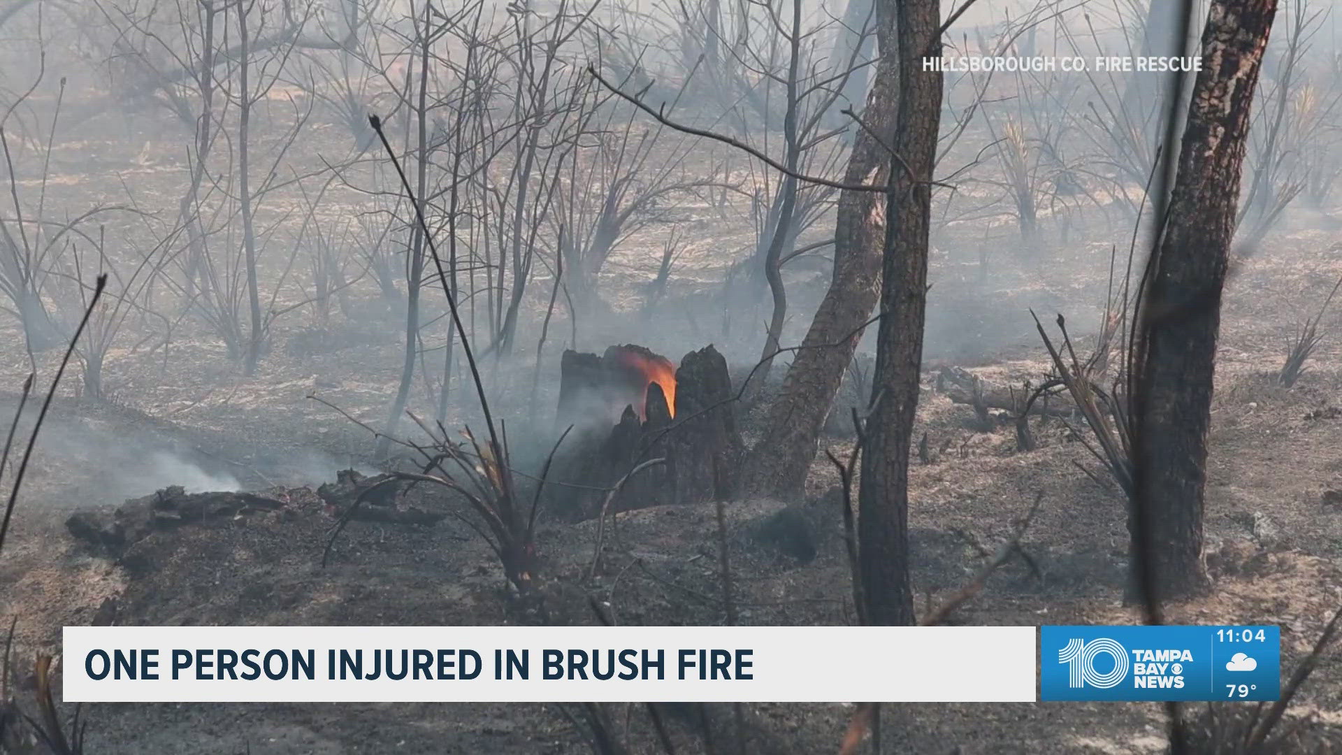 1 person in critical condition after large brush fire in Lithia