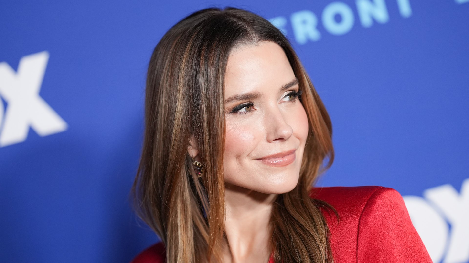 Sophia Bush wore the bag style fashion insiders love