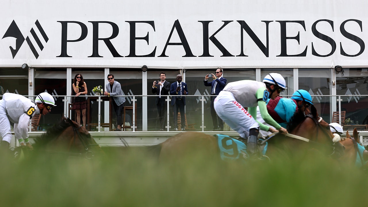 Horse dies after crossing the finish line in his first career race in ...