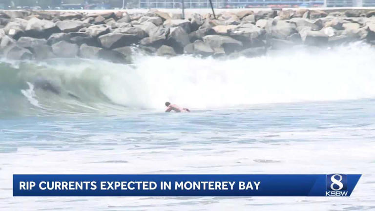 Monterey Bay officials warn of rip currents and gale-force winds this ...