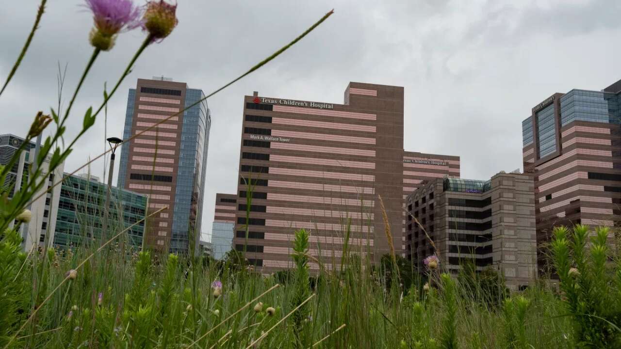 Legal deal forces Texas Children's Hospital to create detransition clinic