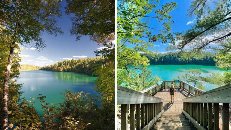 This woodland boardwalk near Ottawa leads past glassy waters to a rare ...