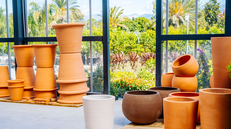 5 tips for gardening with terracotta pots