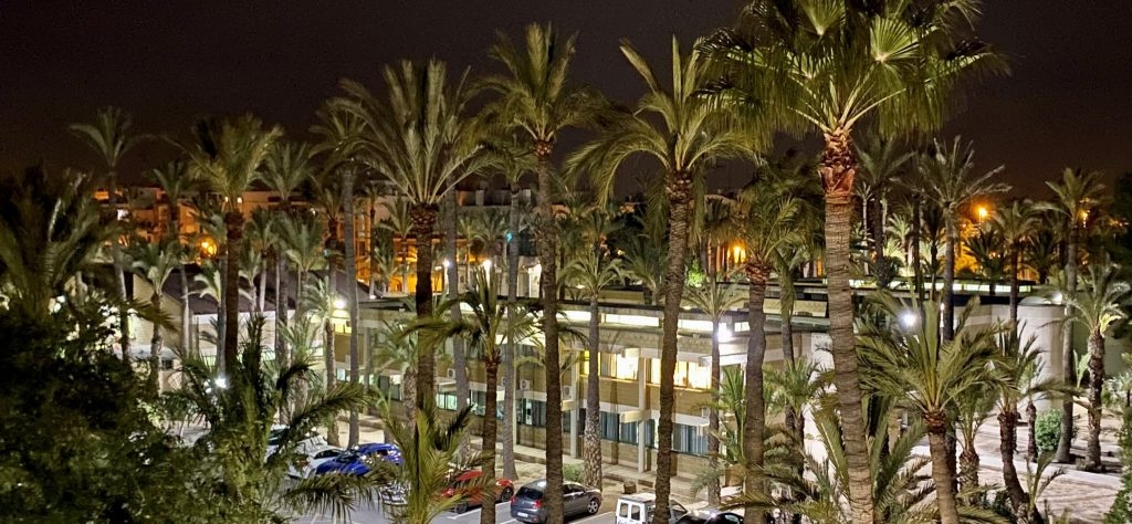 Elche sondea desmantelar el IES La Torreta, recuperarlo como huerto, y ...