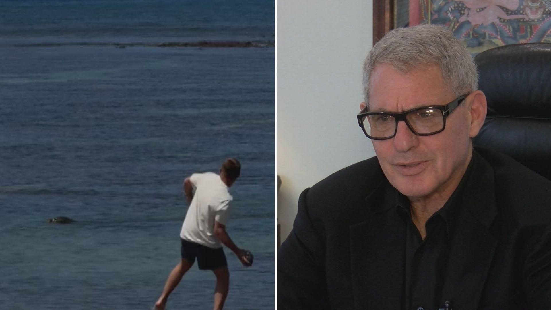 Defense attorney explains why rock was hurled at endangered monk seal