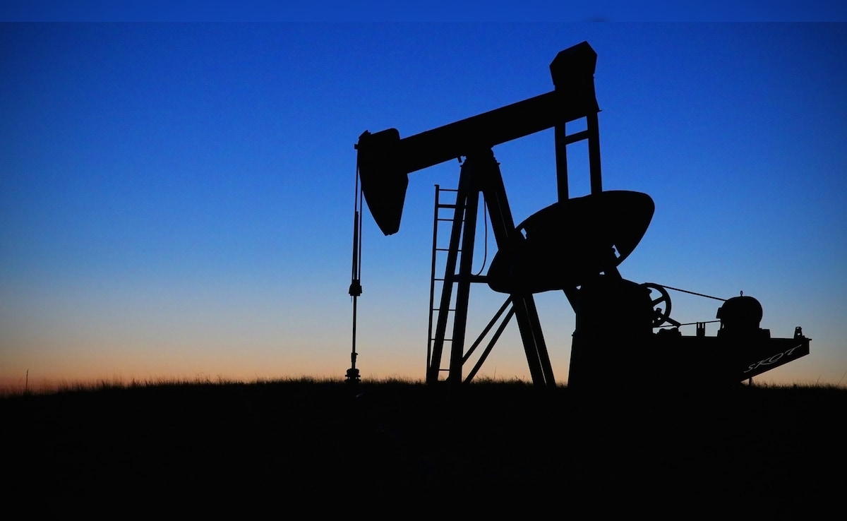 India's Russian oil dependence explained: Daily imports and the likely ...