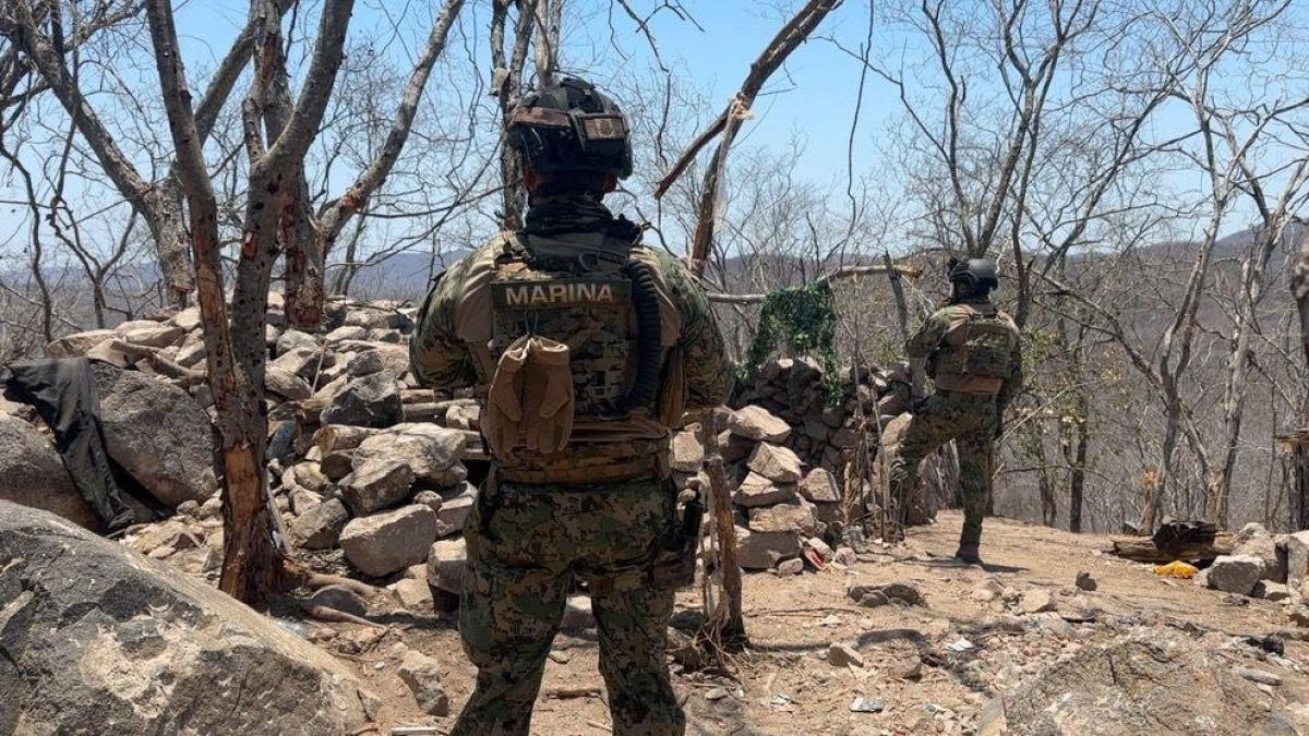 Marina reporta más de mil detenciones en Colima con Operación Pez Vela