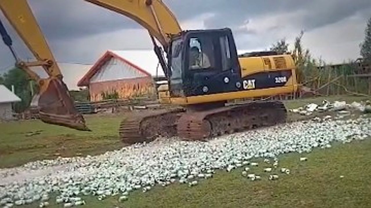 Excavator crushes thousands of illegal beer cans in massive disposal