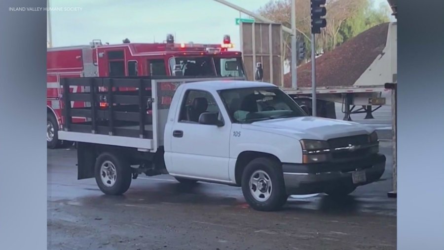 Truck stolen from San Gabriel Valley animal rescue organization during ...
