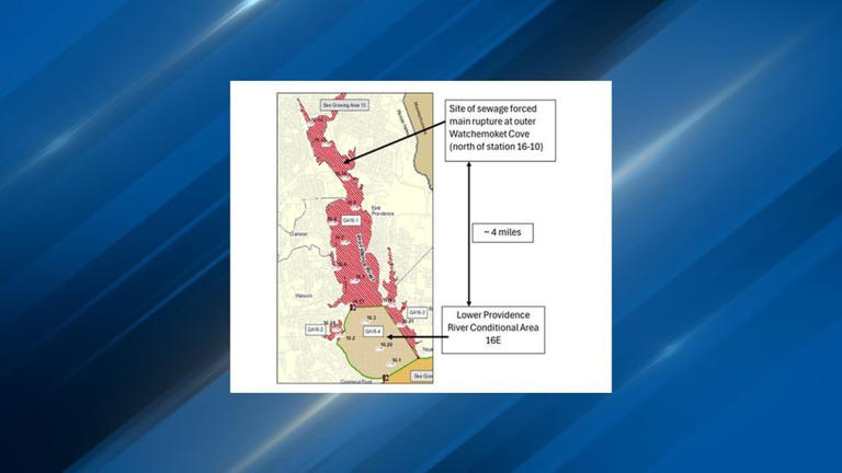 Providence River shellfishing to reopen after sewage discharge