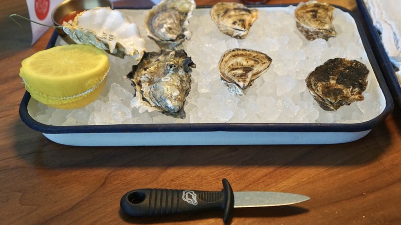 How to shuck oysters like a pro