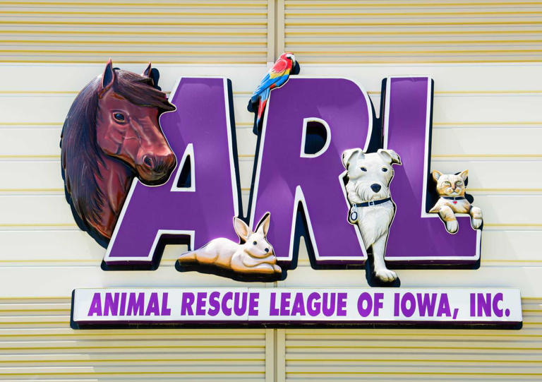Scammers target Iowa pet owners with false claims about lost animals