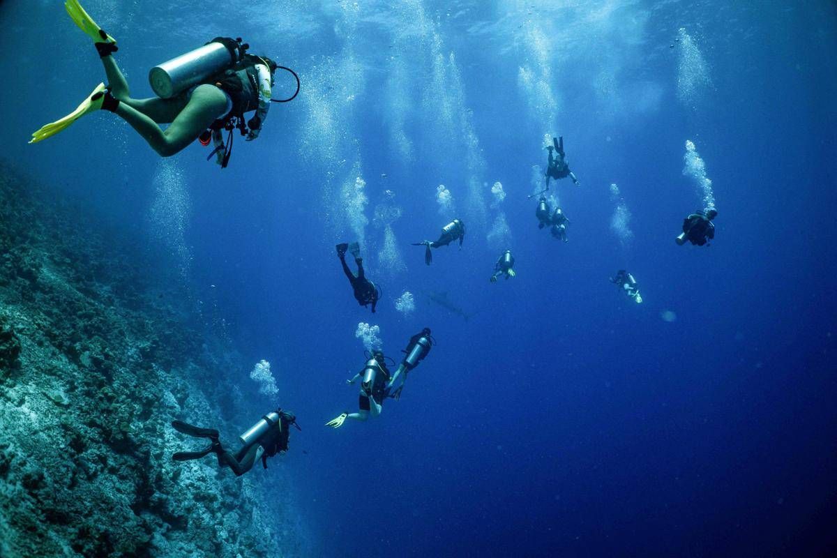 Italiani morti alle Maldive, oggi riprendono le ricerche. Il marito di ...