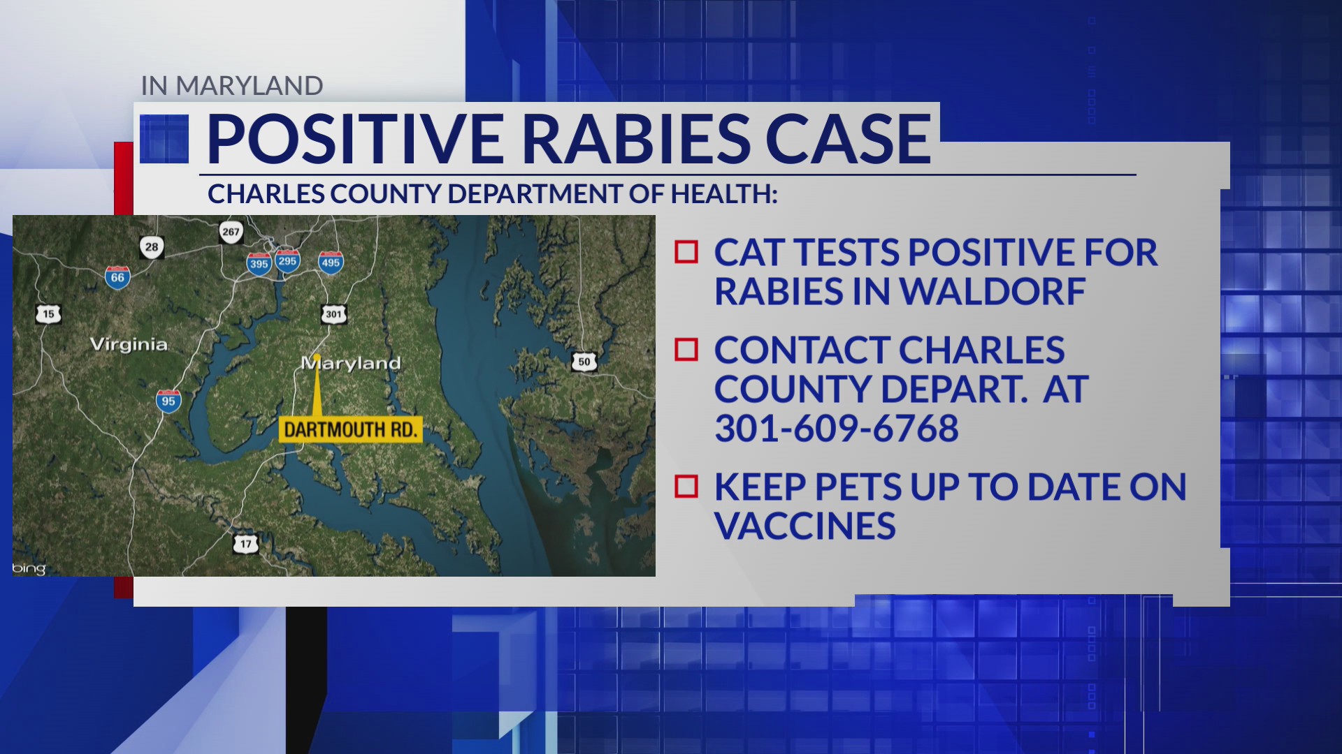 Cat tests positive for rabies in Charles County