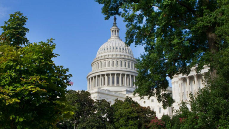 New bill would raise federal minimum wage to $25 an hour, more than ...