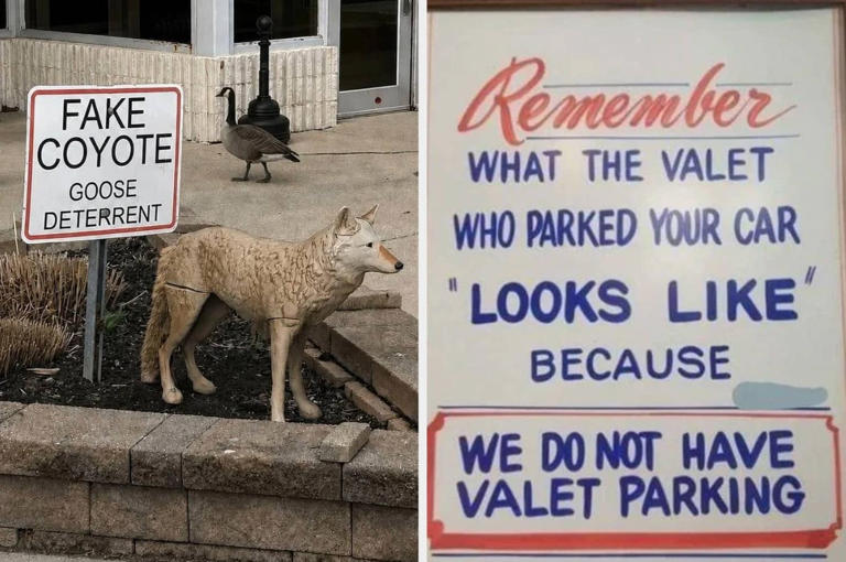 19 signs that are so funny, I need to immediately befriend whoever made ...