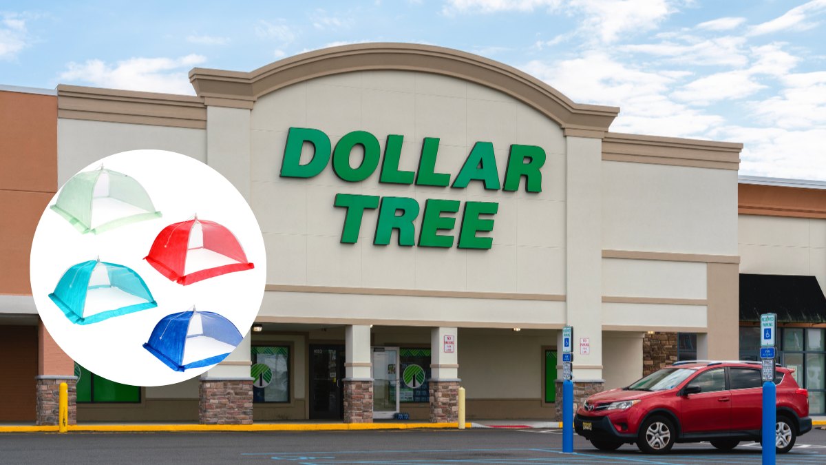 These $1.25 Dollar Tree BBQ finds are sure to elevate your next bash