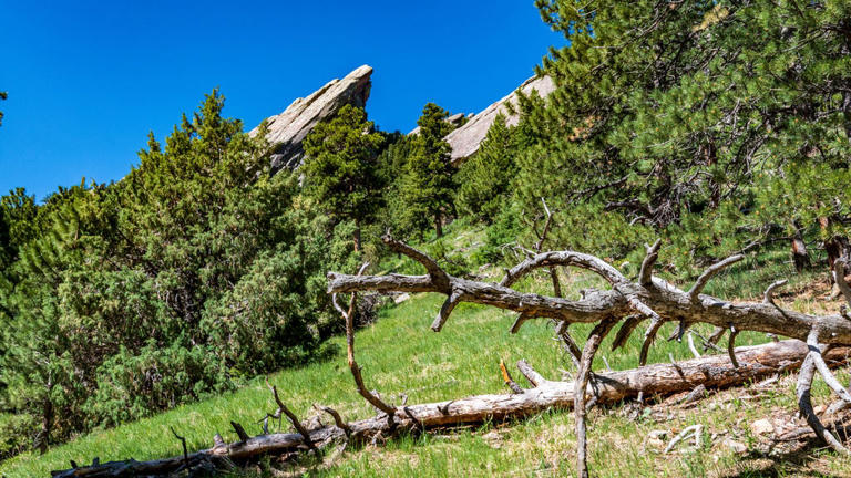 Boulder County Coroner's Office identifies hiker found dead on Second ...
