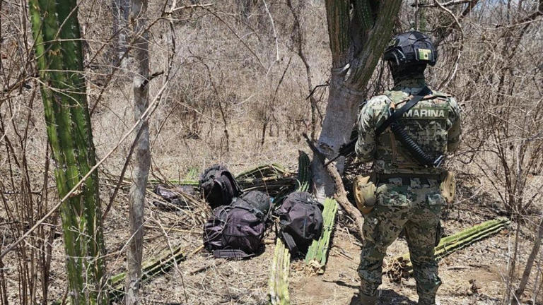 Semar asegura y destruye artefactos explosivos y equipo táctico en Sinaloa